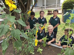 Prep Year 1 Gardening